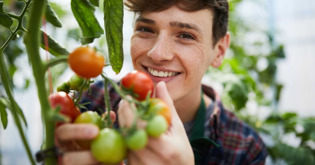 Studienteilnahme - COPLANT